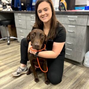 Veterinarian In Magnolia, TX 77355 | Magnolia Animal Clinic